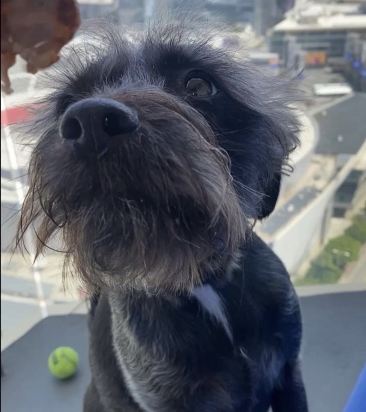 News Archives - Page 2 of 17 - Circa LA